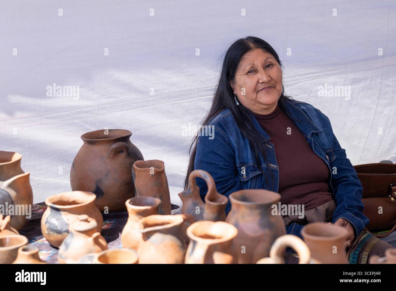 Telma Cañedo, a Paipai-Kuahl artisan from Santa Catarina seen during ...