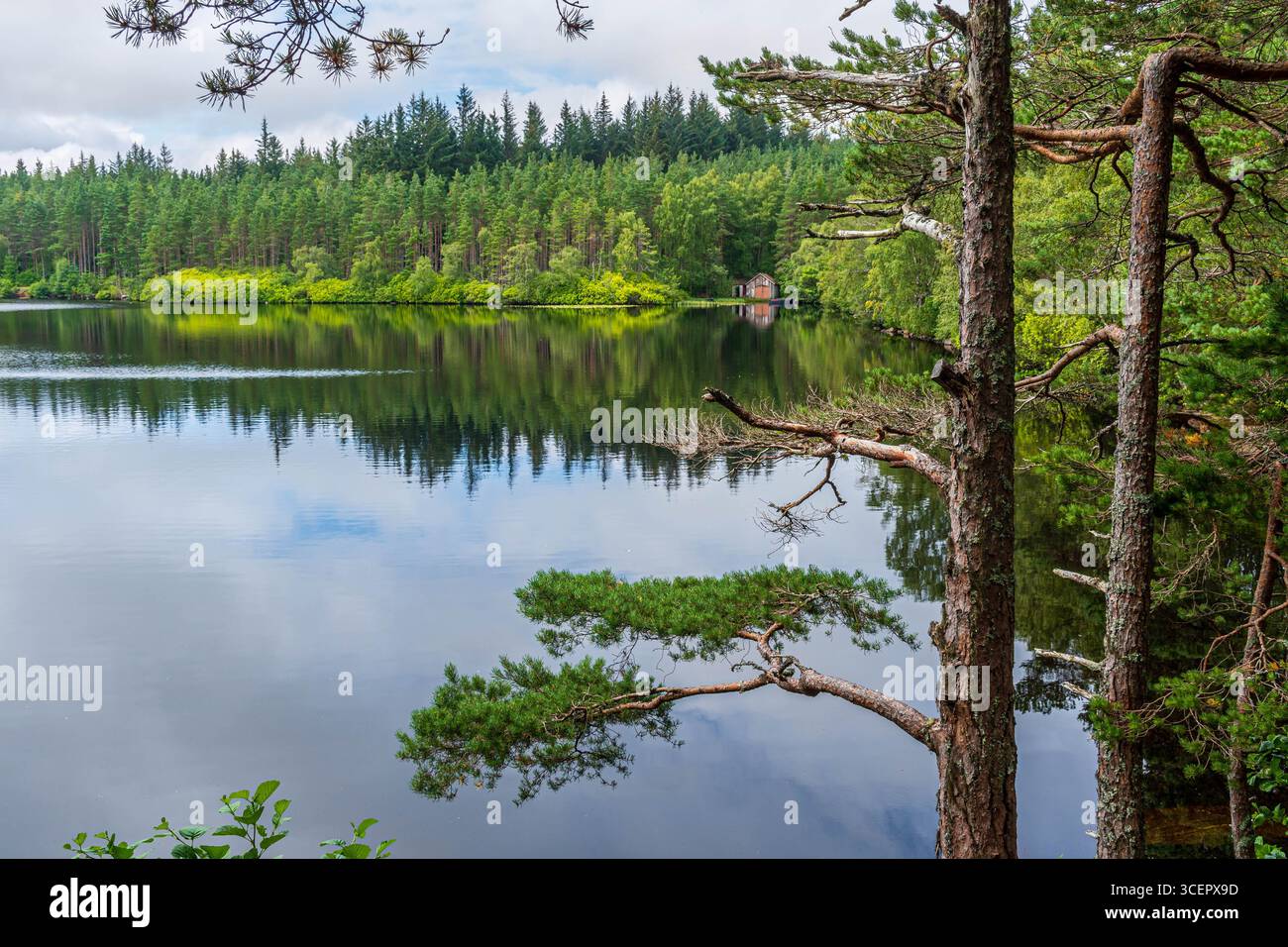 Reflection alba fishing boat hi-res stock photography and images - Alamy