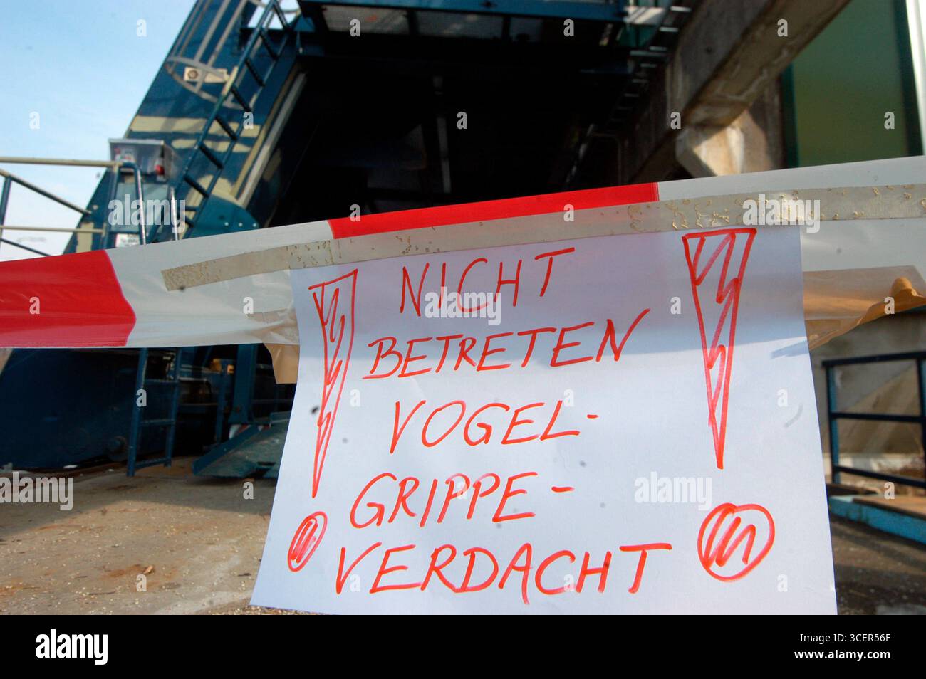 a dead bird died of avian influenza, epicemics and diseases dead bird ...