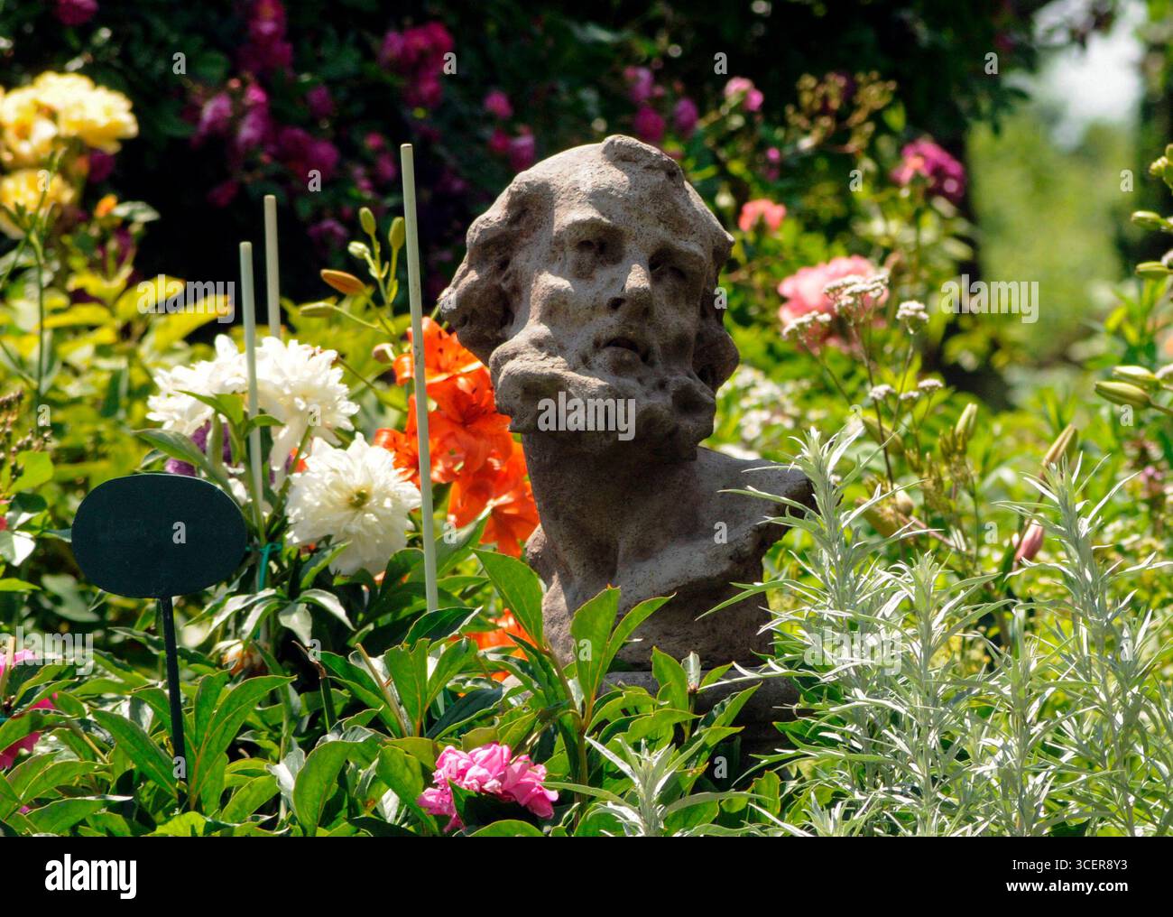 a human with thoughtful expression in the world a human are mostly full ...