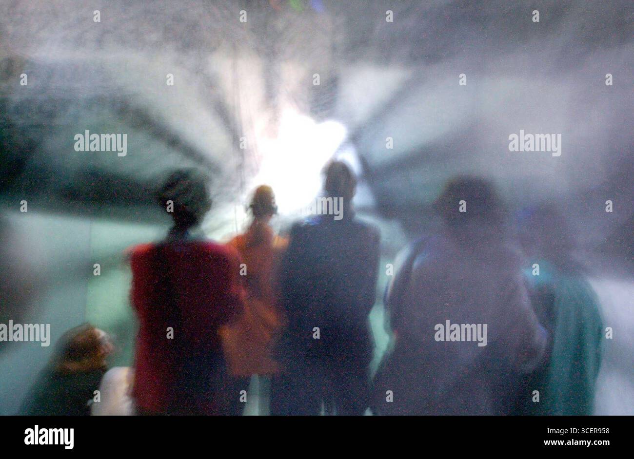 a group of people being together, spectator at an event group of people ...