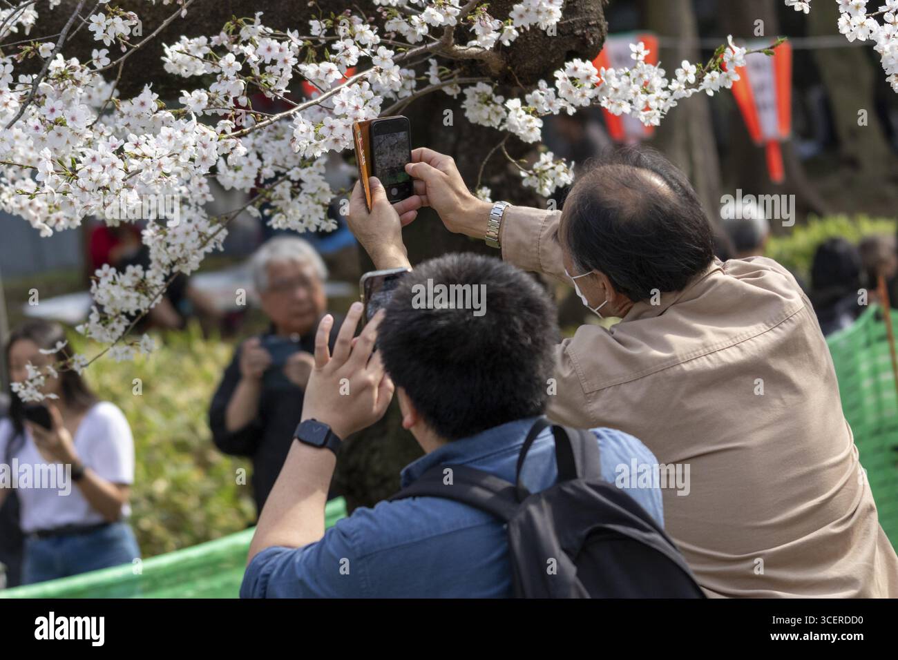 Sightseeing, tourist attraction, Japanese photographing the first ...