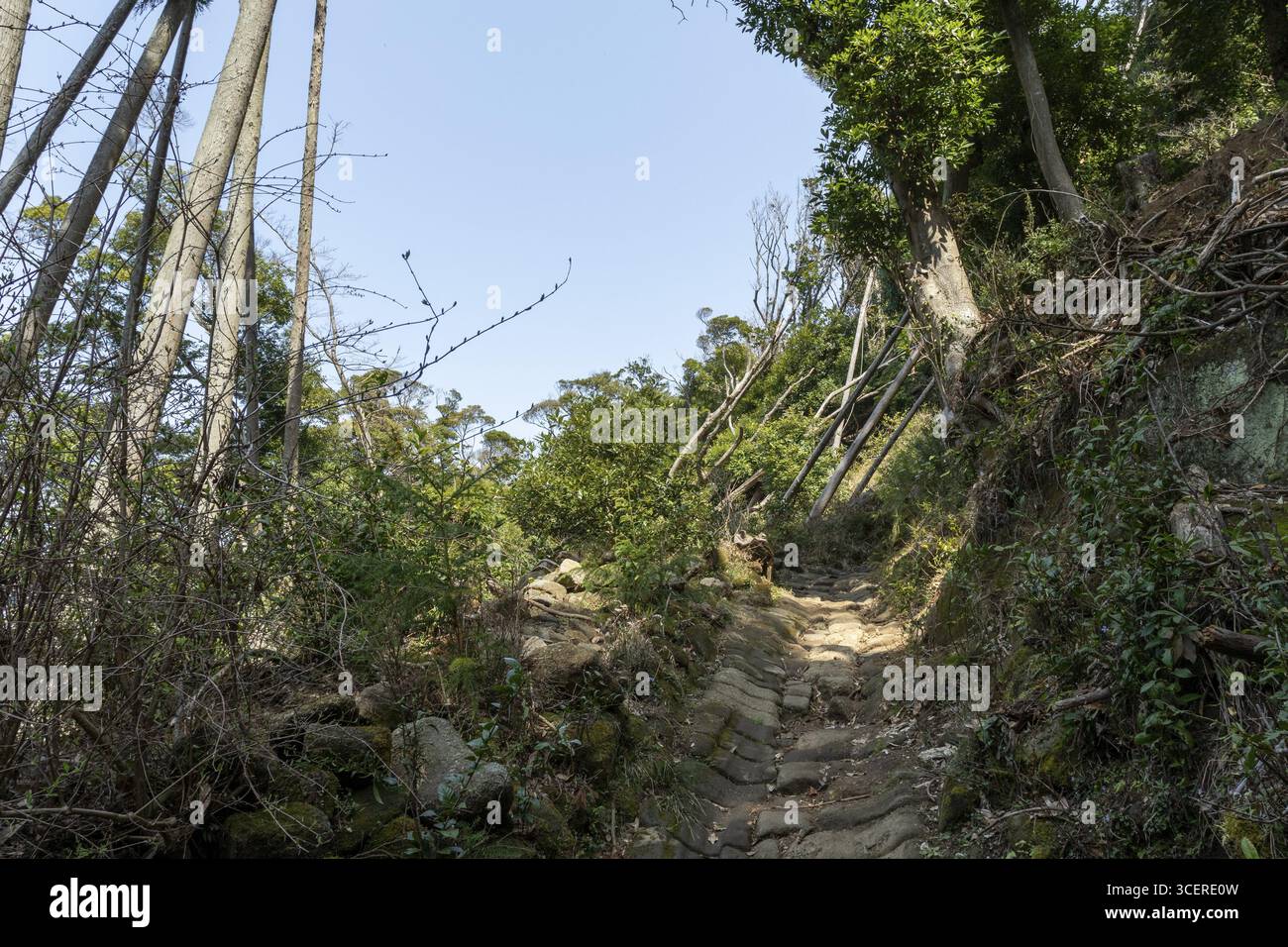 Vegetation and mountain landscape along the Shariki-michi Trail to ...