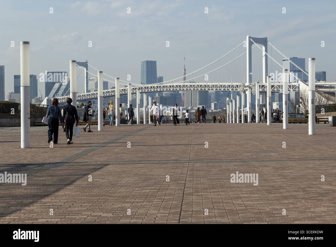 Landmark, view of the Rainbow Brigde and Tokyo Tower, strollers on the ...