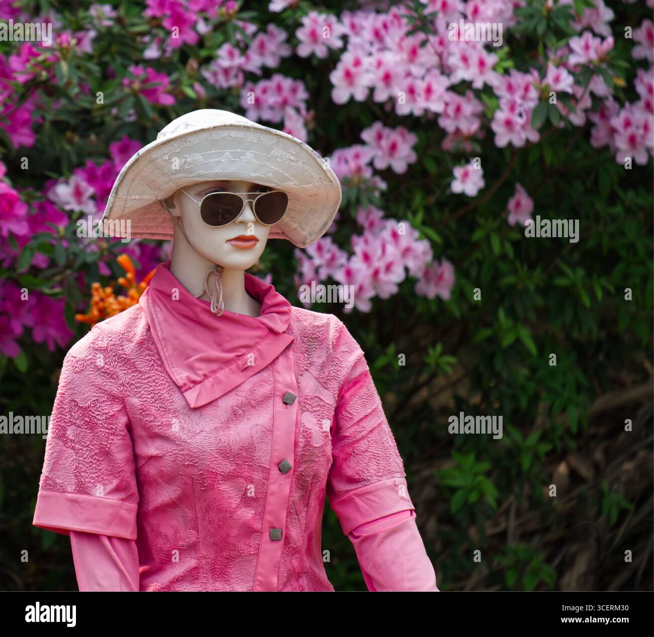 Stylish mannequin stands hi-res stock photography and images - Alamy