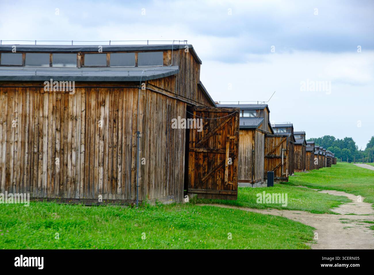 A line of wooden barracks buildings at Auschwitz-Birkenau, with their ...
