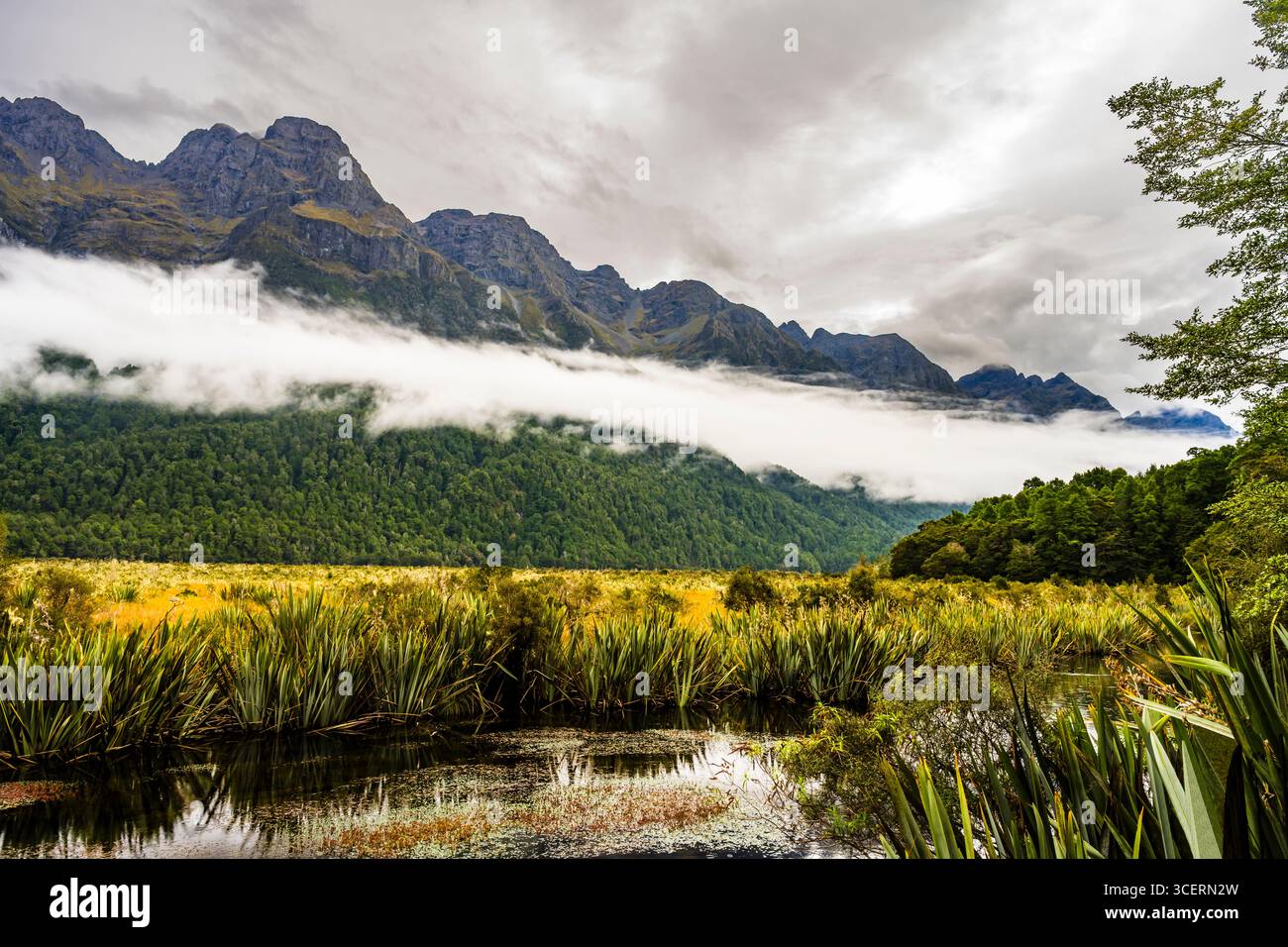 Eglington river west branch hi-res stock photography and images - Alamy