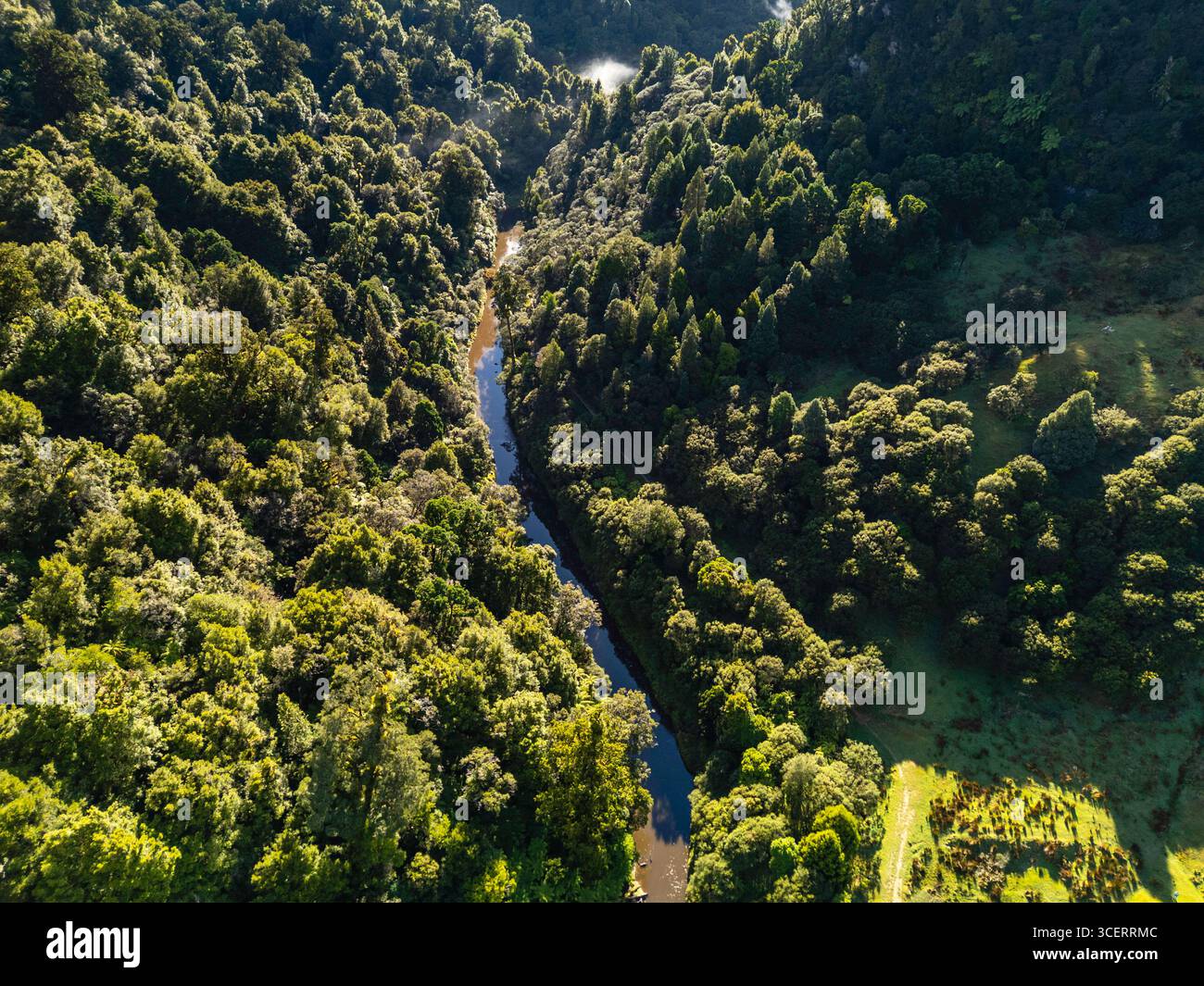 Aerial photograph of Fossil Canyon in the Tangarakau River Valley near ...