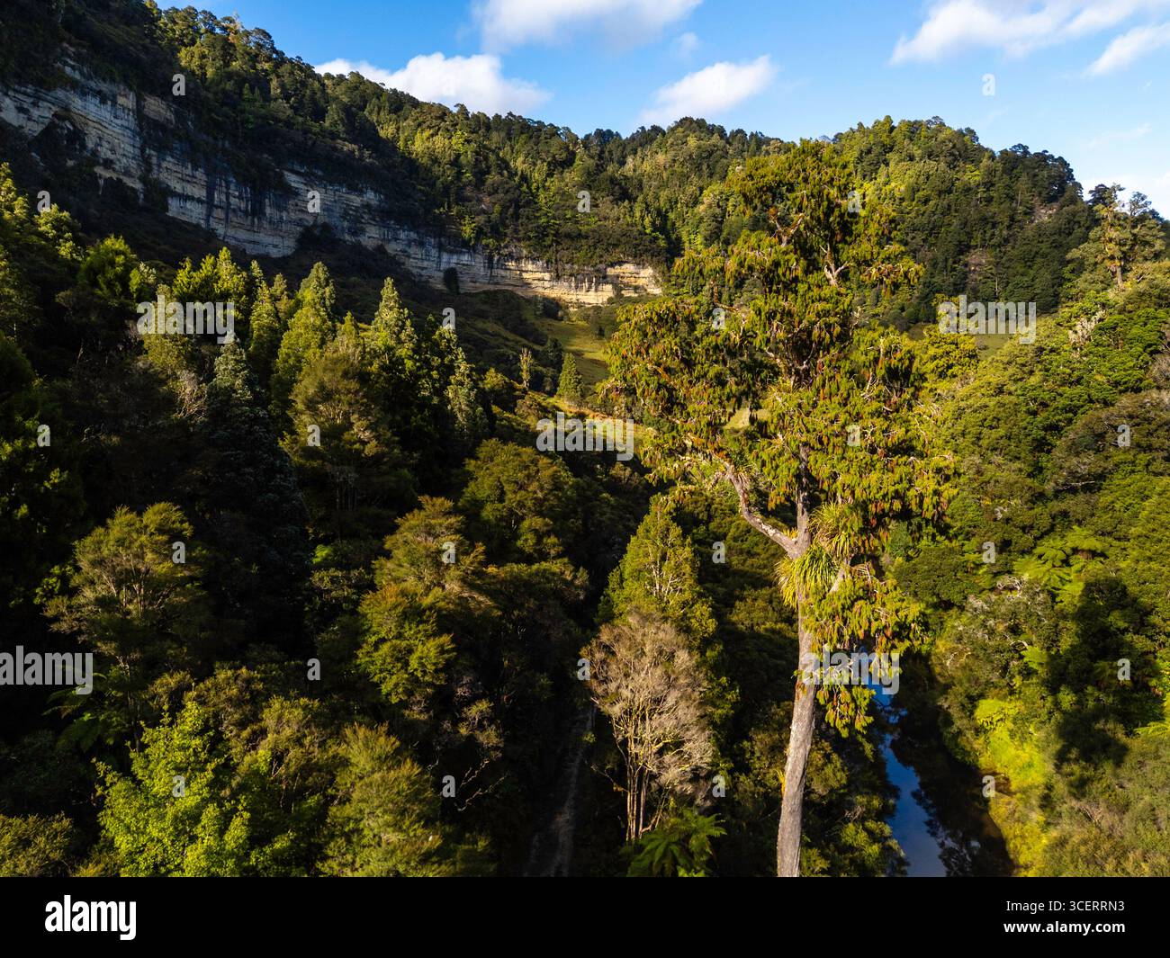 Aerial photograph of Fossil Canyon in the Tangarakau River Valley near ...
