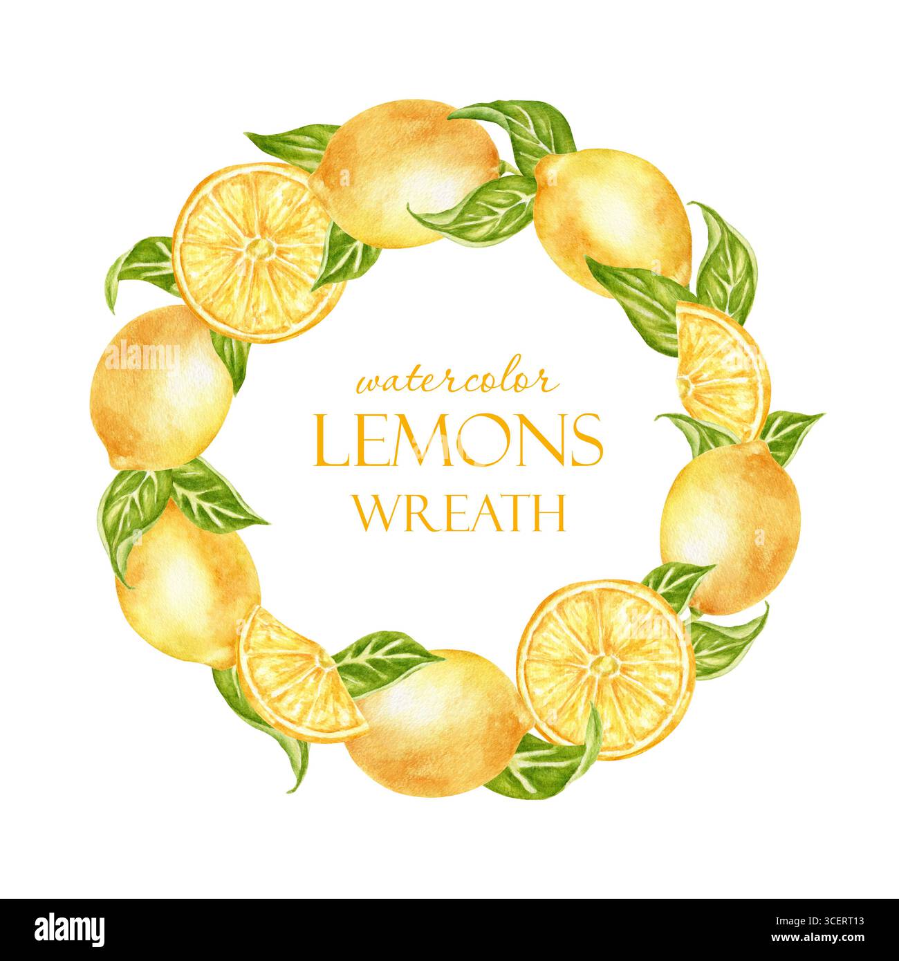 Bright citrus themed border design hi-res stock photography and images ...