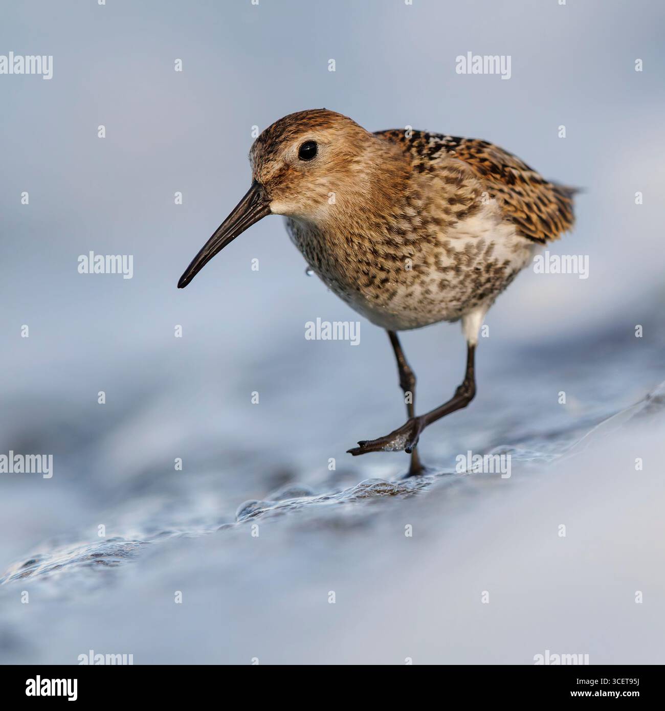 Toft newton hi-res stock photography and images - Alamy