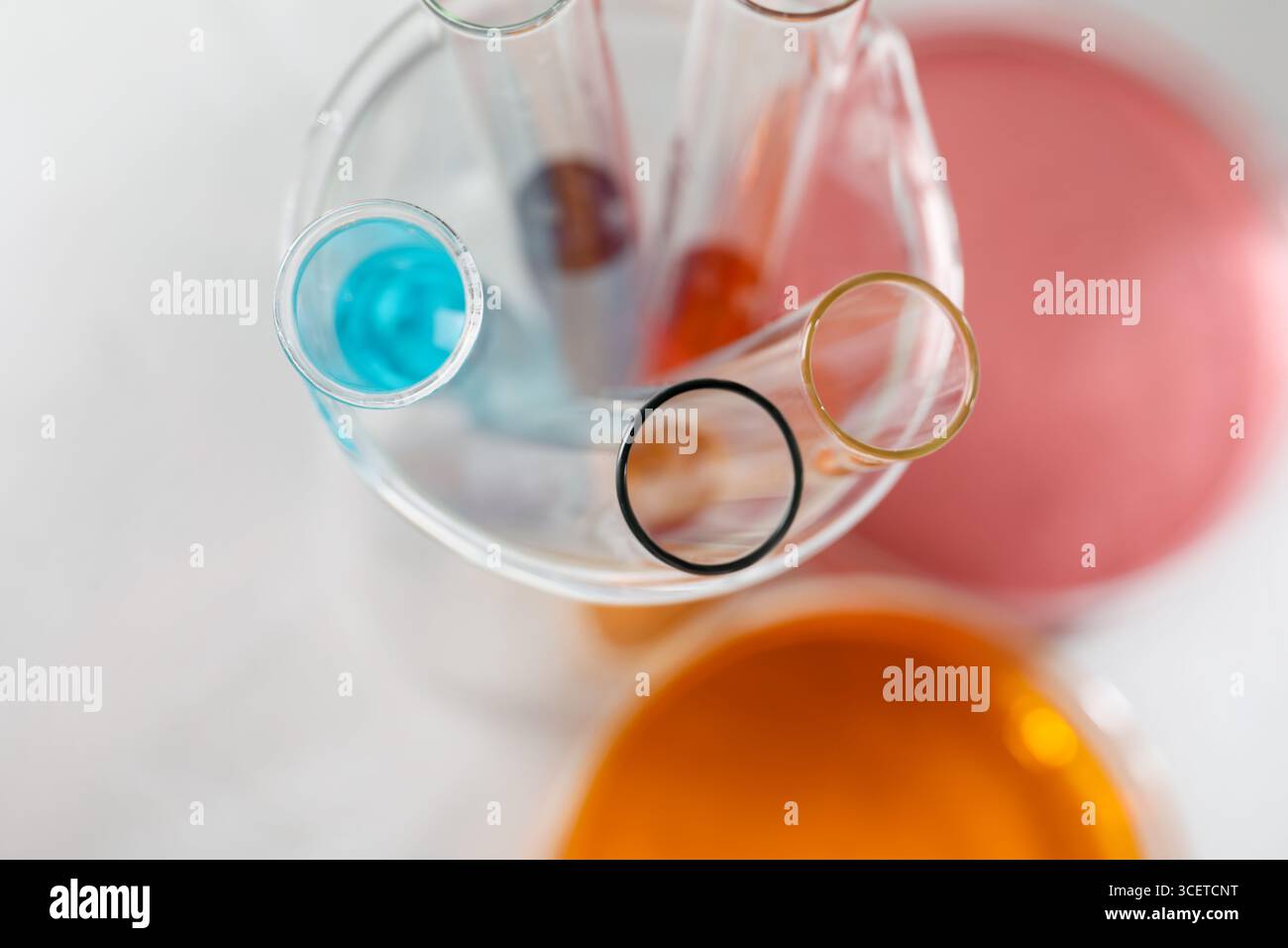 Test tubes with different samples and Petri dishes on table, top view ...