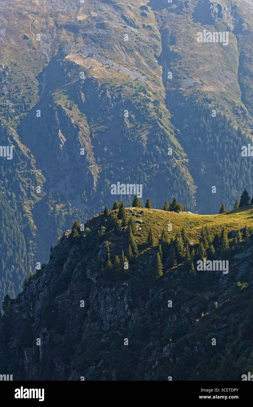 Small meadows among forests hi-res stock photography and images - Alamy