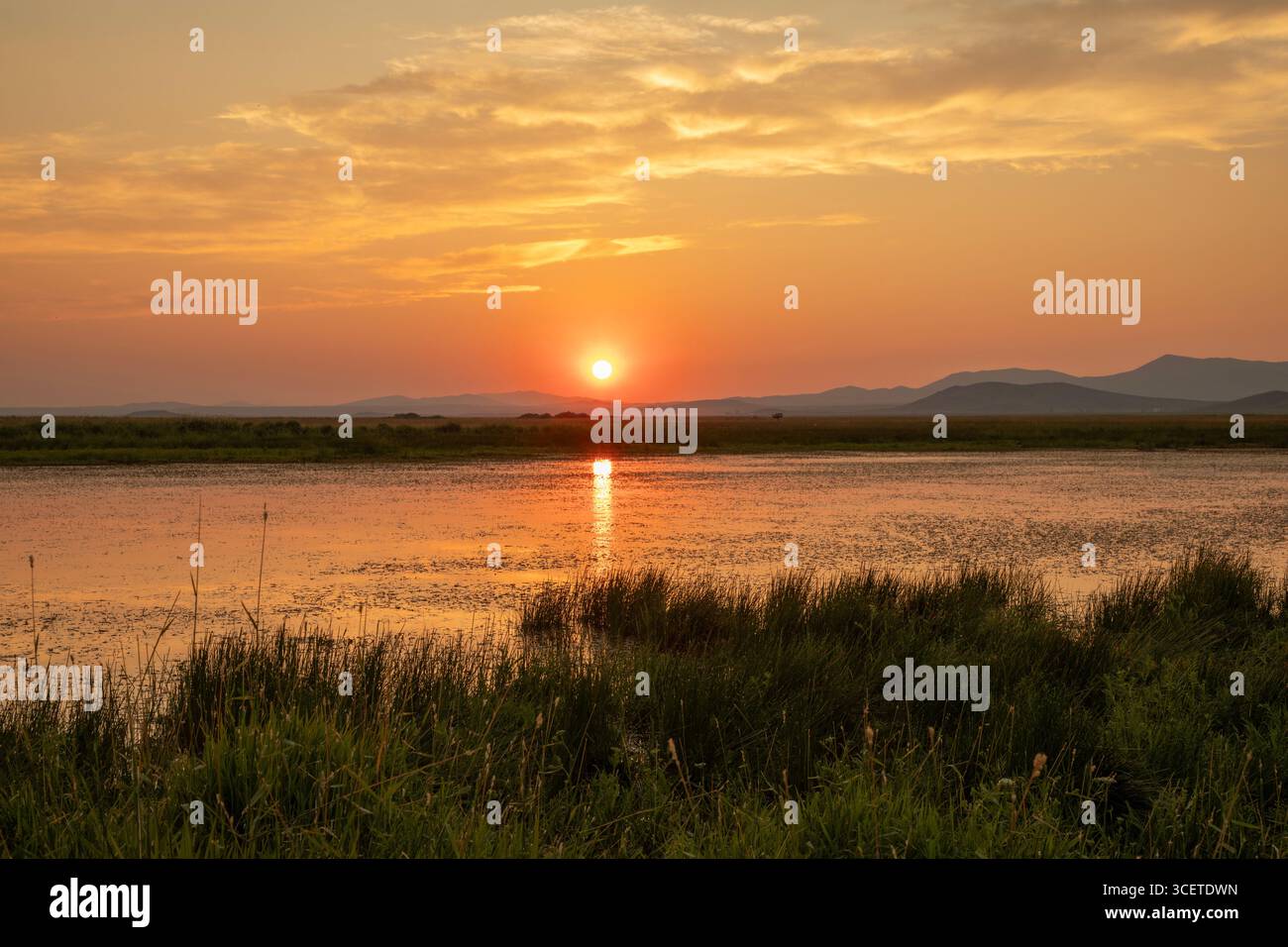 Camas prairie centential wildlife conservation area hi-res stock ...