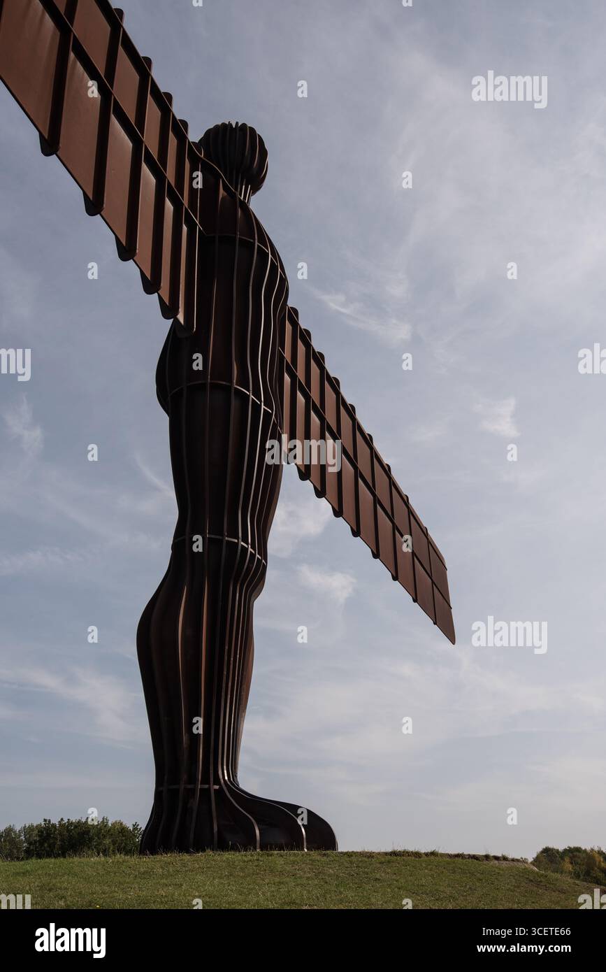 Commissioned and delivered by gateshead council hi-res stock ...