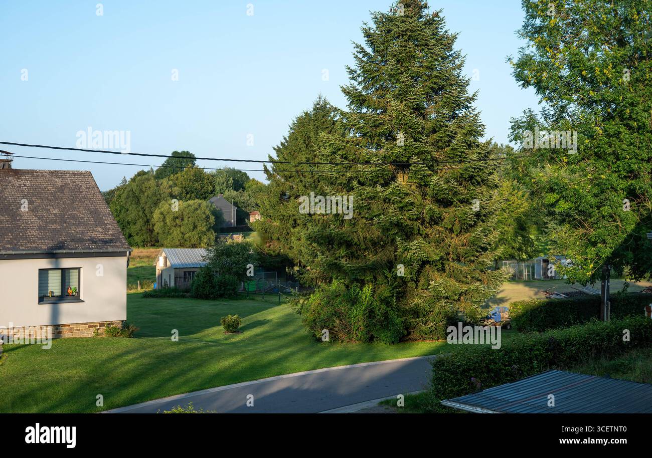 Residential houses and green meadows at the Wallon countryside in ...