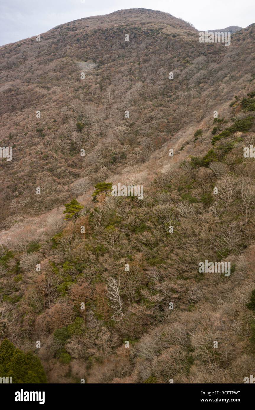 View of the slopes of Mt. Komagatake from the Mt. Komagatake Ropeway ...