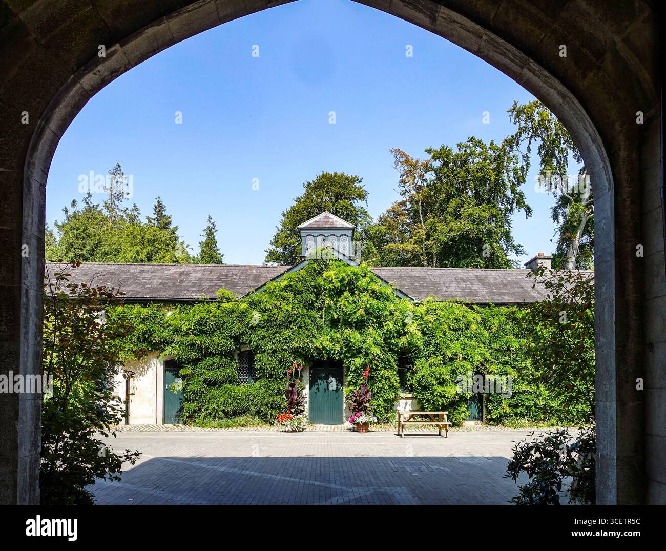 Wisteria-clad courtyard at Farmleigh House, Dublin, Ireland, with ...