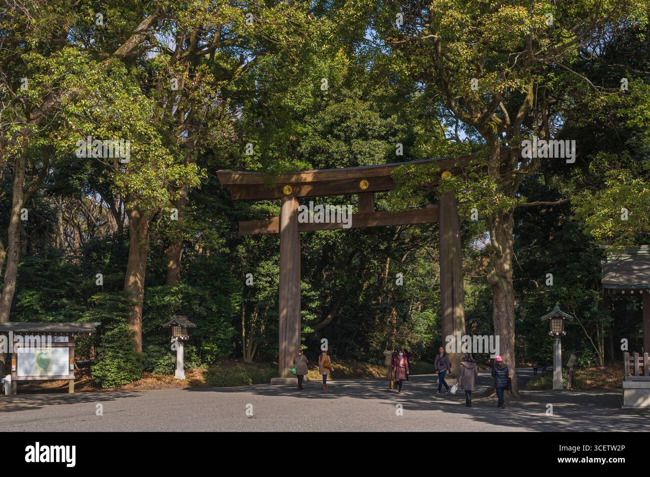 Torii, shrine archway made from Japanese cypress wood at the entrance ...