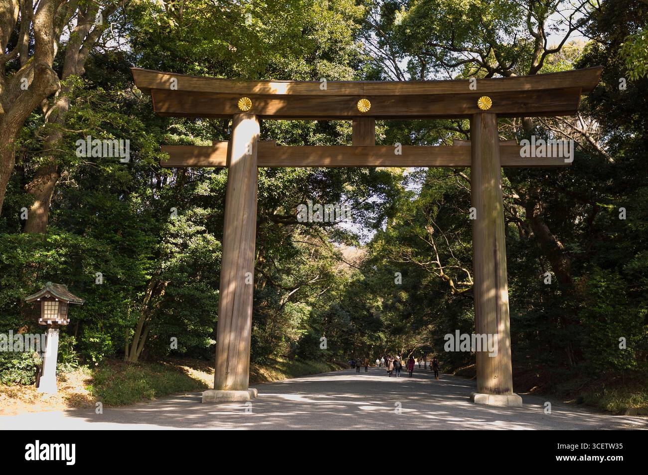 Torii, shrine archway made from Japanese cypress wood at the entrance ...