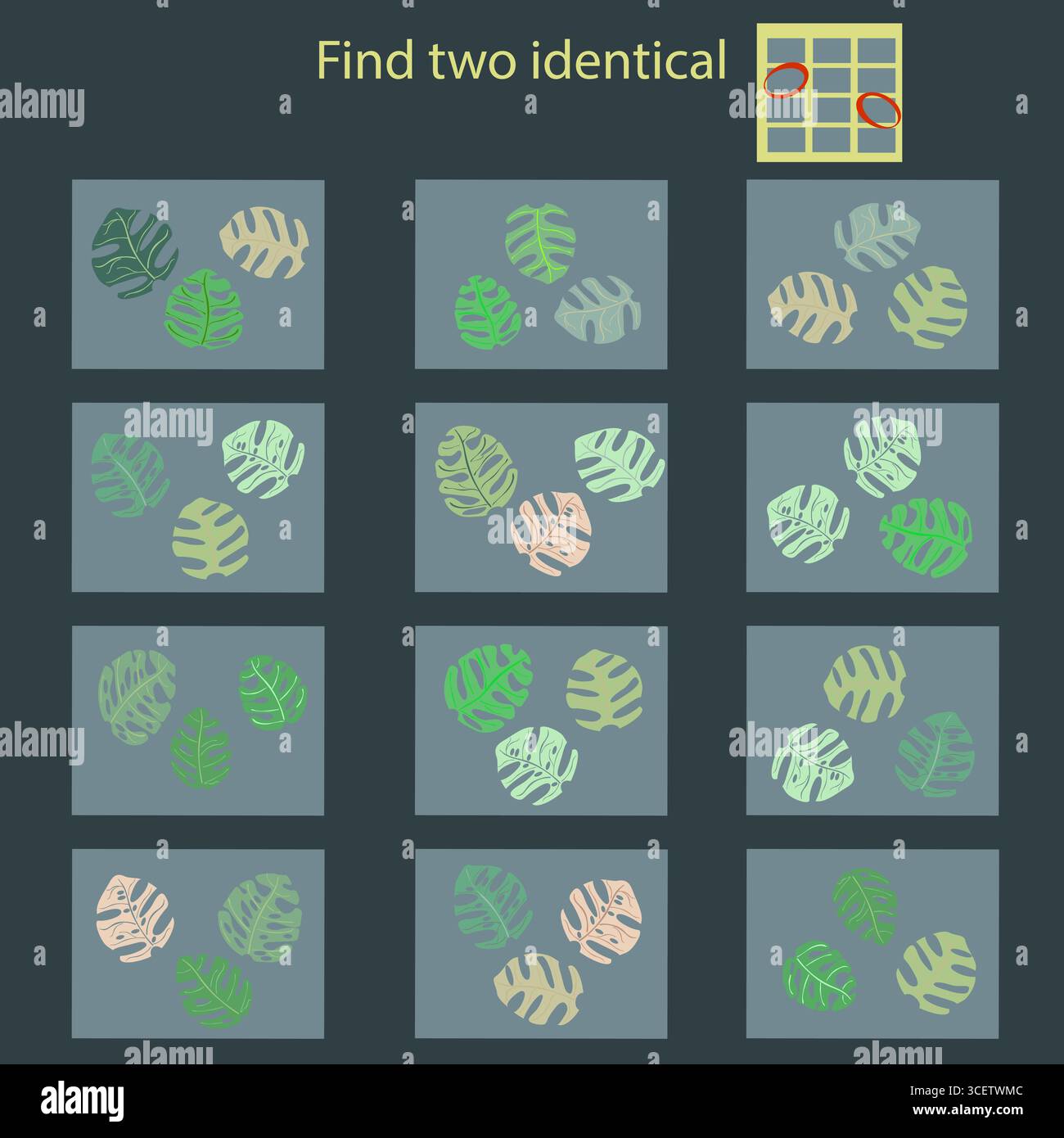 Monstera worksheet for Stock Vector Images - Alamy