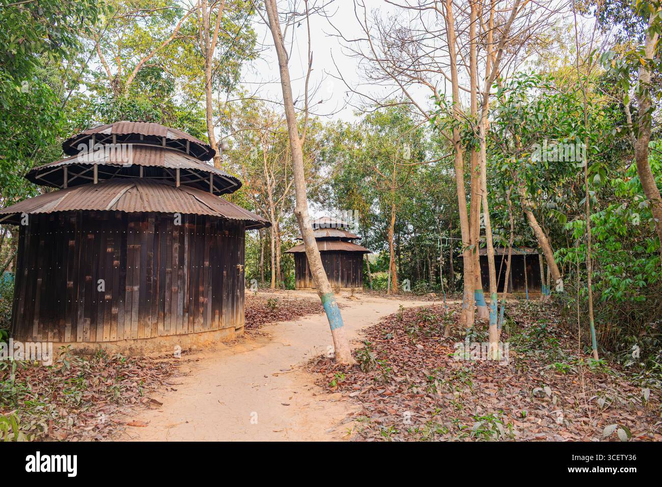 Peaceful traditional wooden monastery huts surrounded by lush green ...