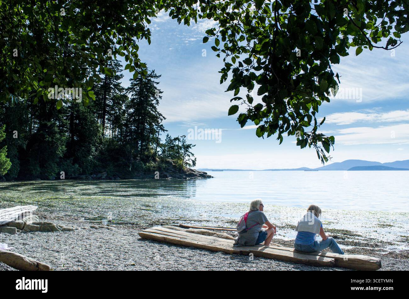 Bellingham beach log hi-res stock photography and images - Alamy