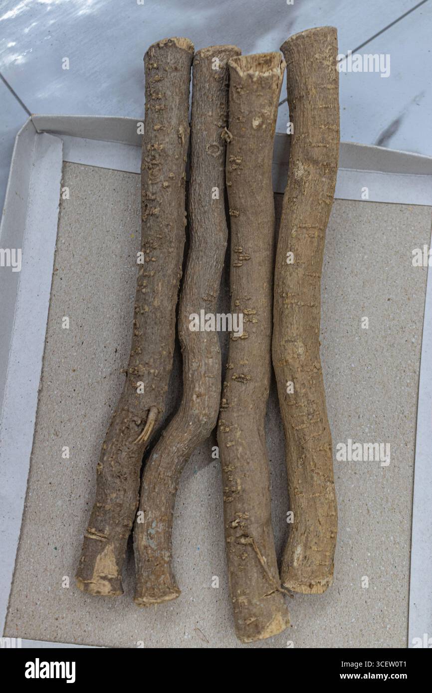 Herbal chewing sticks hi-res stock photography and images - Alamy