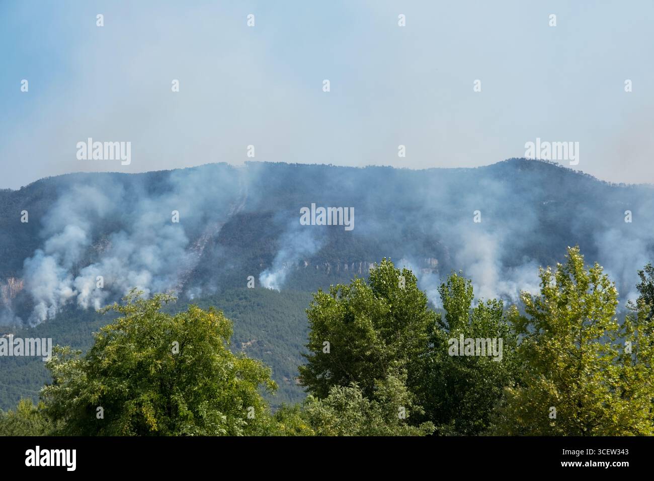 Forest wildfire smoke rising from mountain trees Stock Photo - Alamy