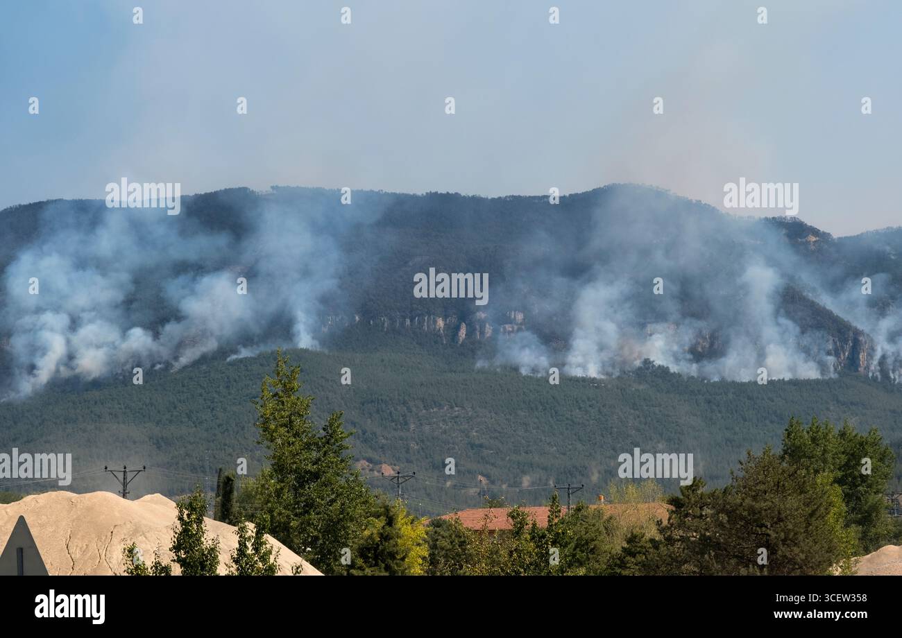 Forest wildfire smoke rising hi-res stock photography and images - Alamy