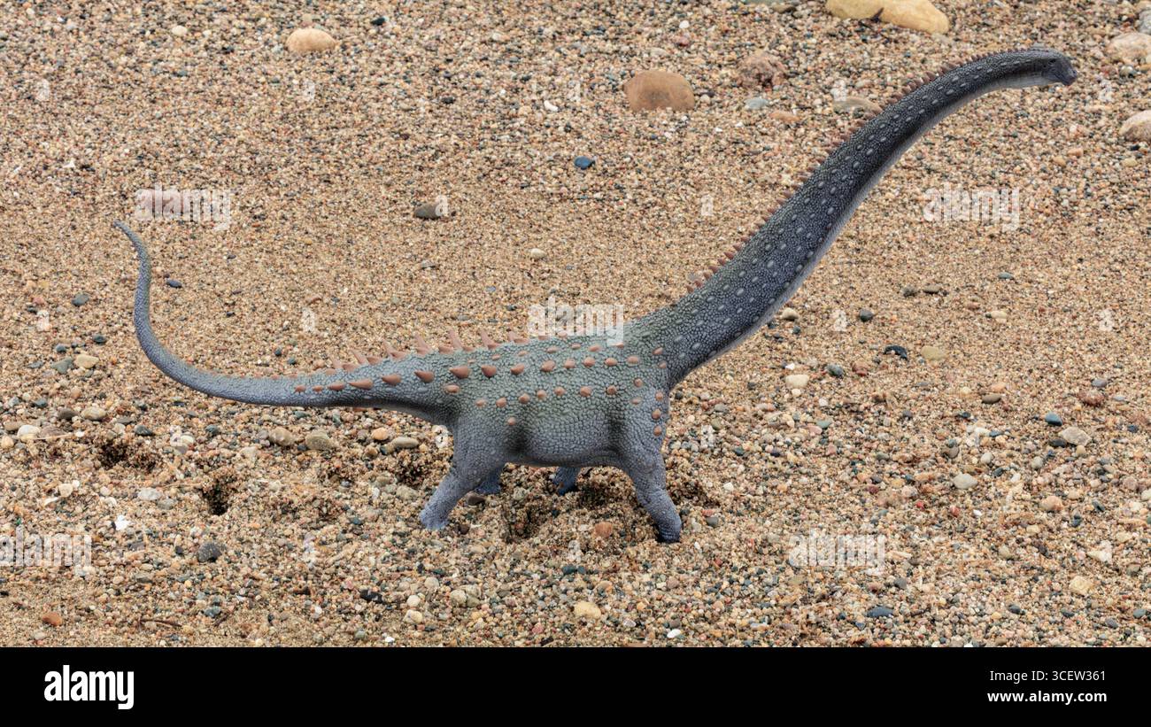 Ruyangosaurus hi-res stock photography and images - Alamy