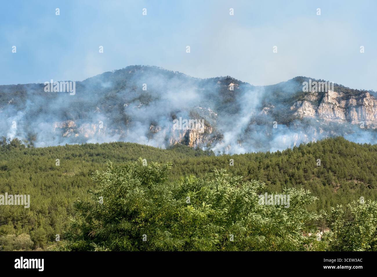 Forest wildfire smoke rising hi-res stock photography and images - Alamy