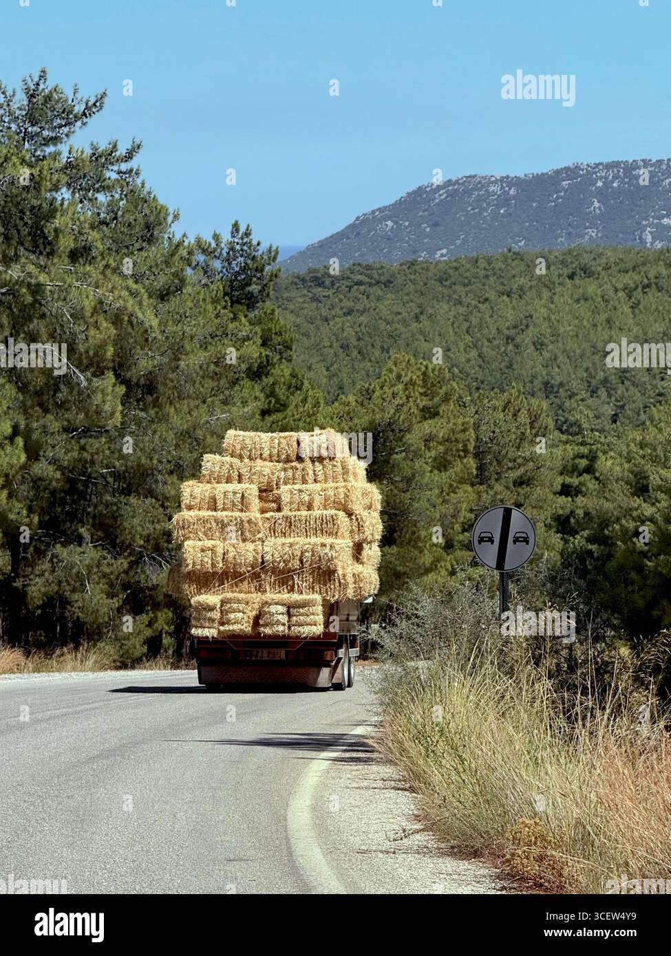 Truck carrying large hay bales on rural road. Agricultural transport ...