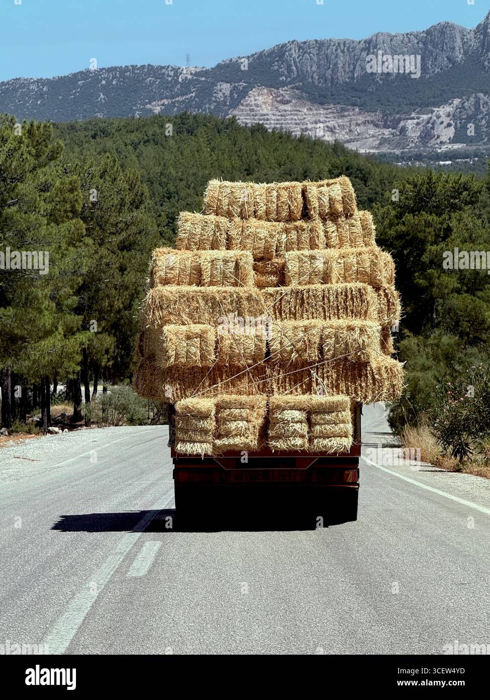 Truck carrying large hay bales on rural road. Agricultural transport ...