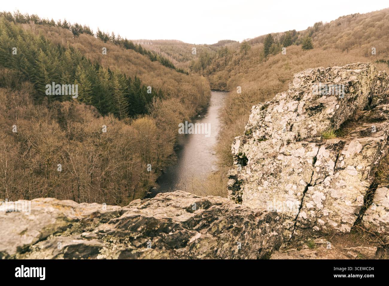 Capturing the tranquil beauty of Ardennes, Belgium, this photograph ...