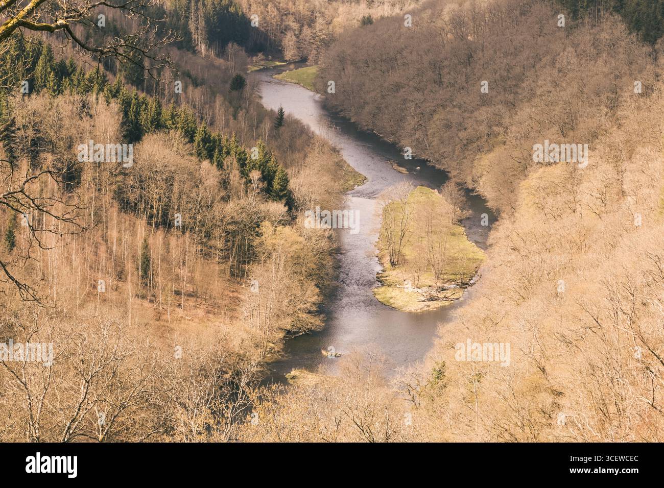 Capturing the tranquil beauty of Ardennes, Belgium, this photograph ...