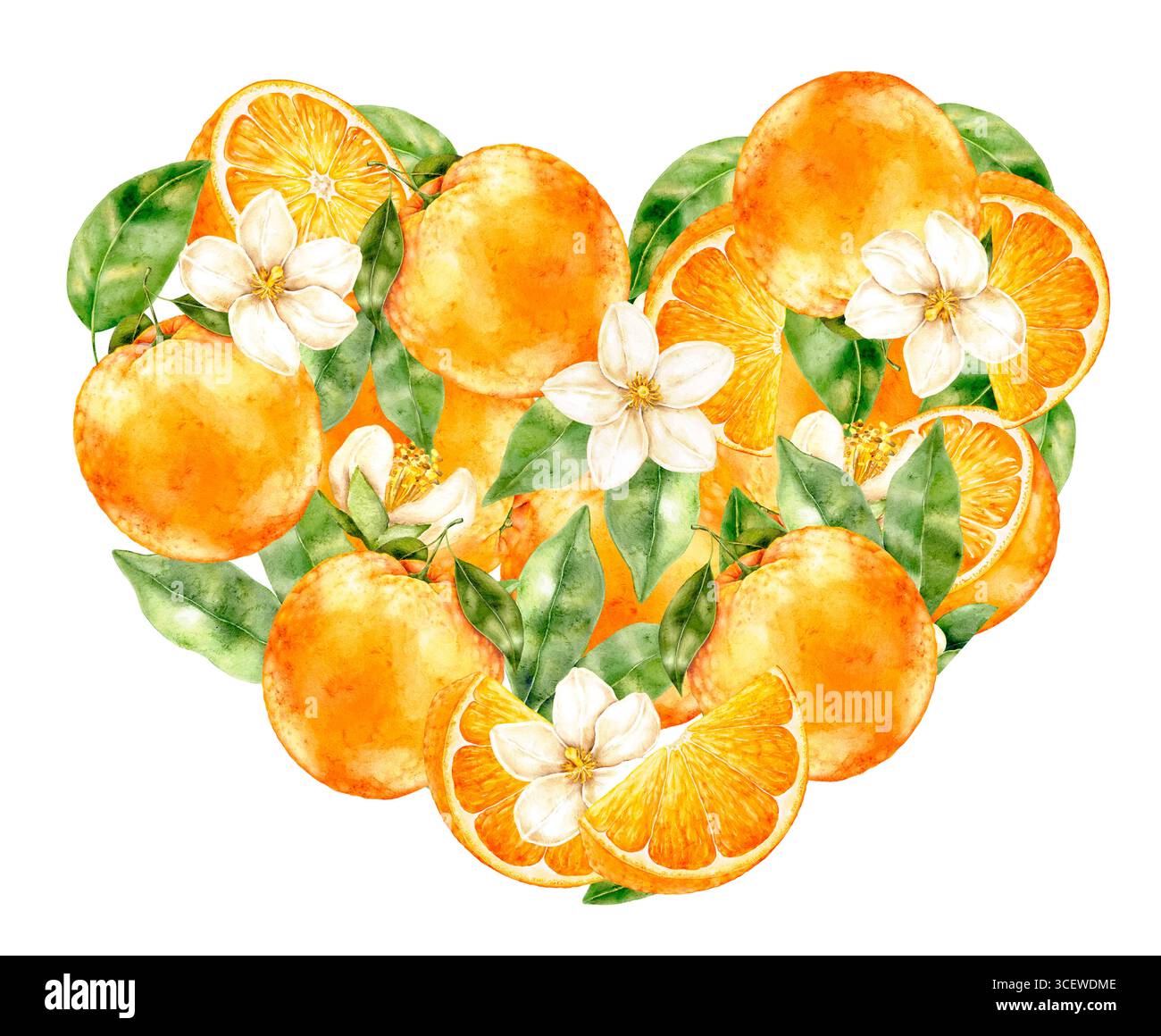 Illustration fresh juicy oranges Cut Out Stock Images & Pictures - Alamy
