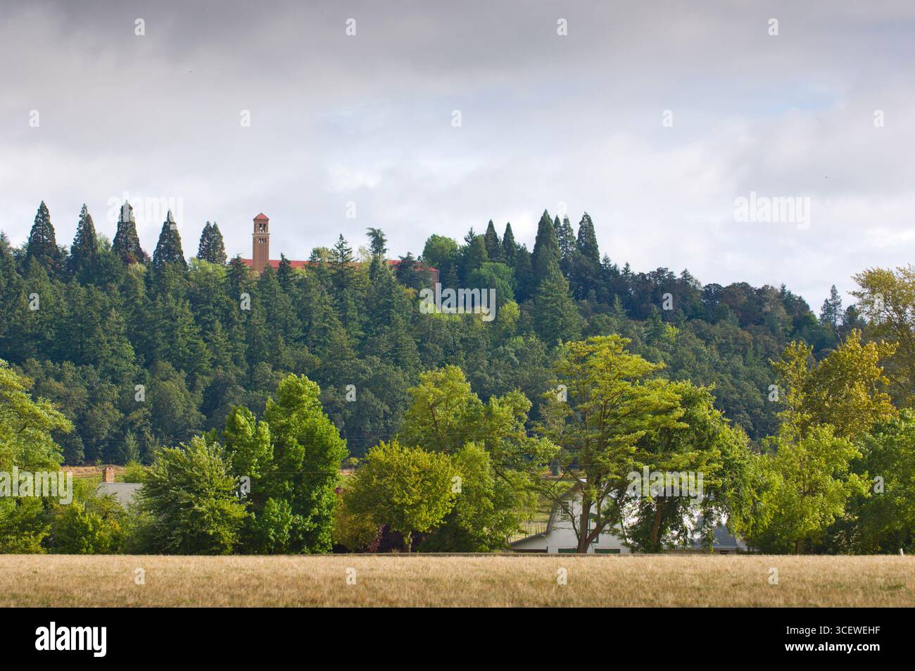 Mount Angel Abbey Monastery rising above the Willamette valley, Mt ...