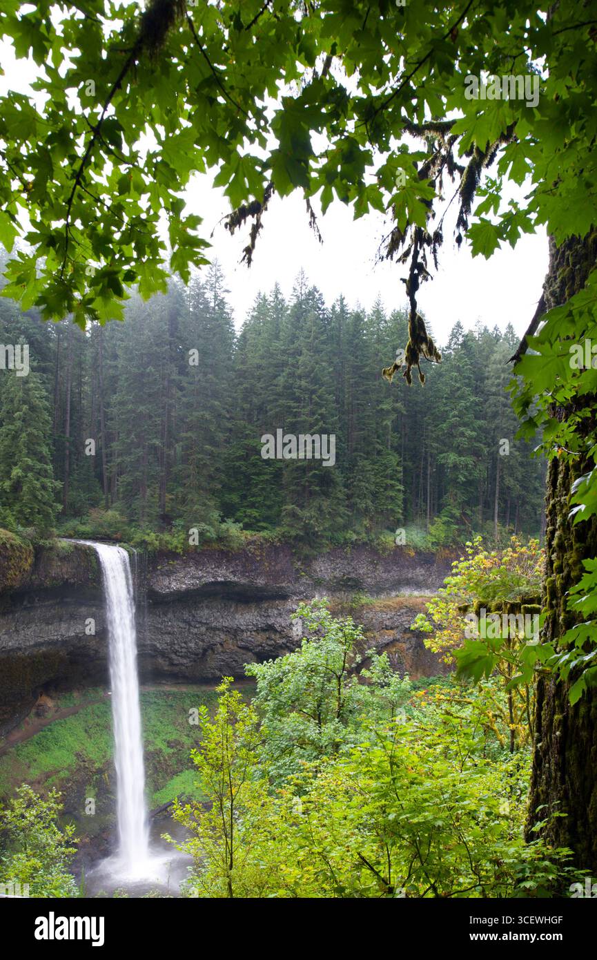 South Falls drops 177ft, South Fork Sliver Creek, Silver Falls State ...