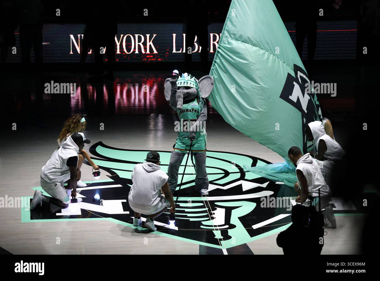 Aug 19, 2025; Brooklyn, New York, USA; Ellie the mascot before the game ...