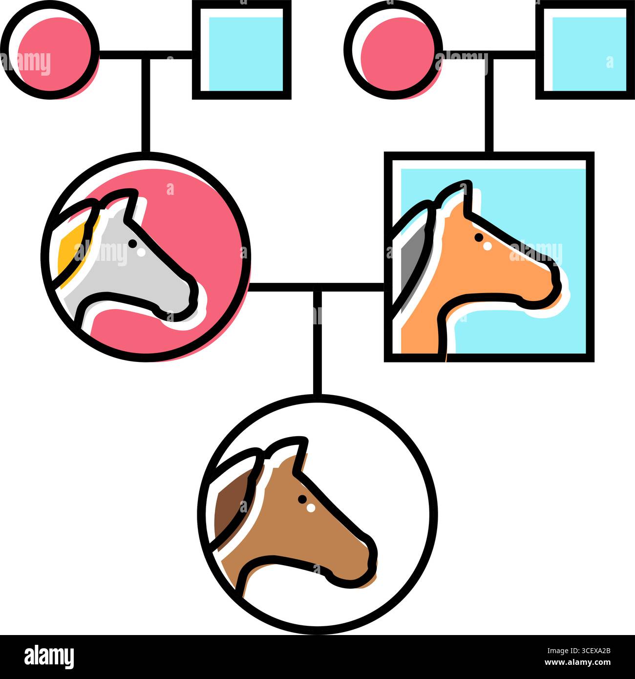 pedigree chart horse breeding color icon vector illustration Stock ...