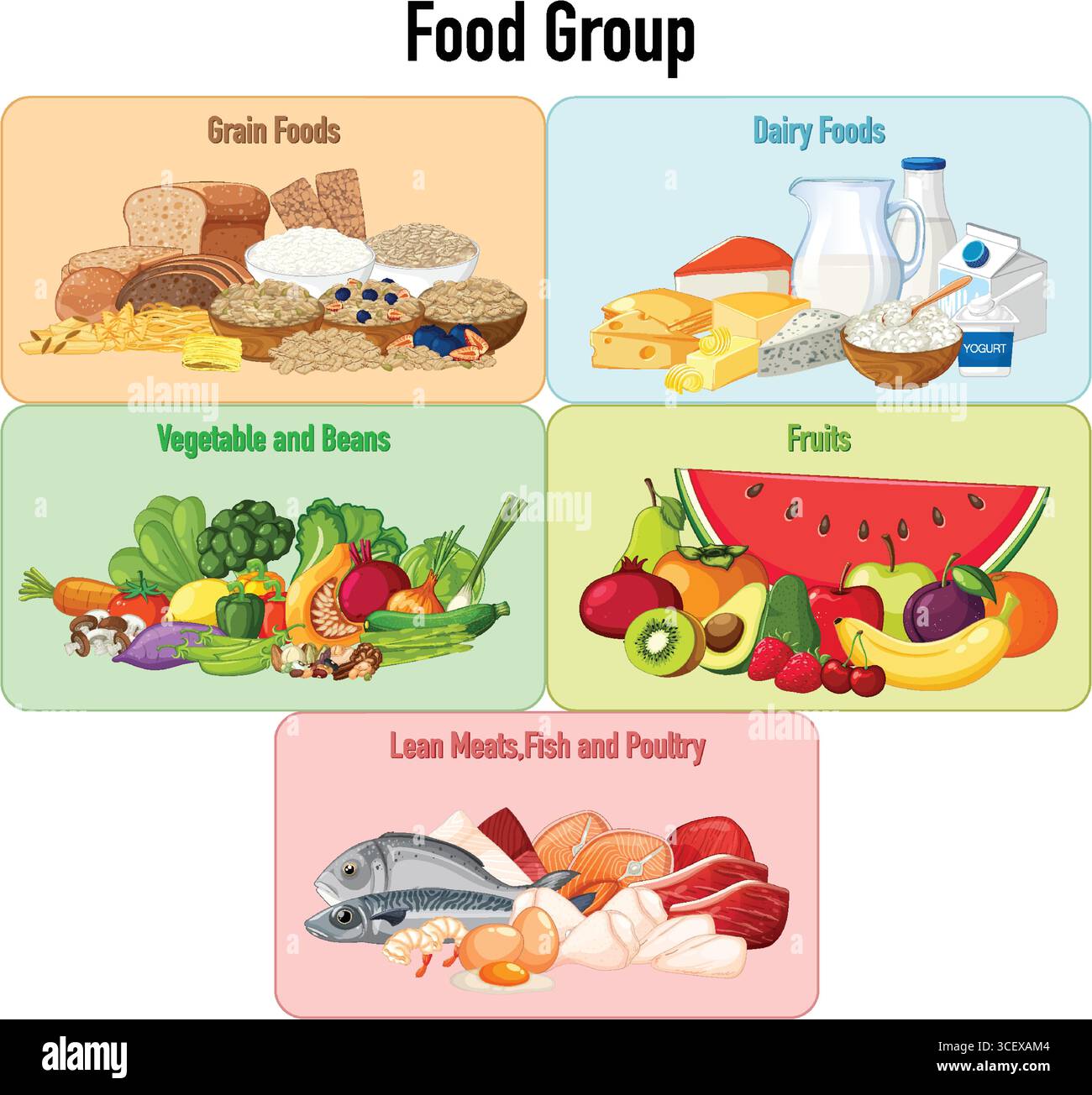 Vector illustration categorizing grain foods, dairy, vegetables, fruits ...