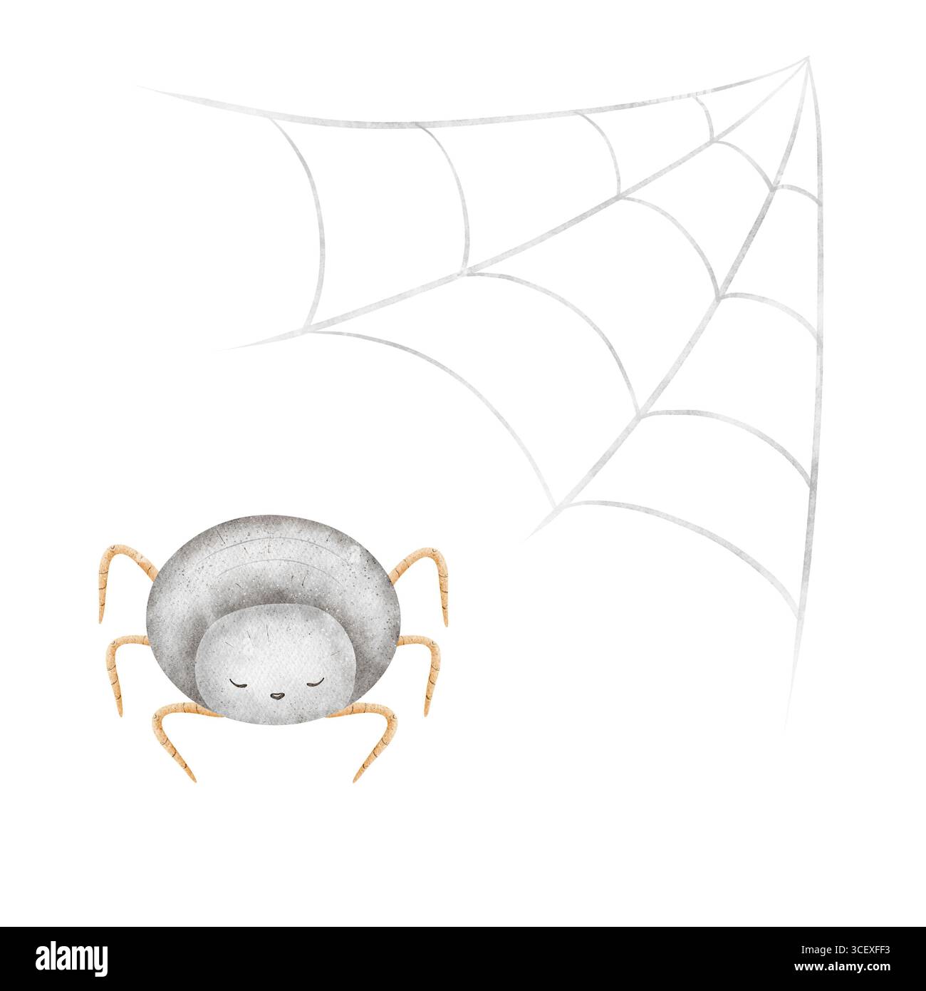 Spider in hand Cut Out Stock Images & Pictures - Alamy