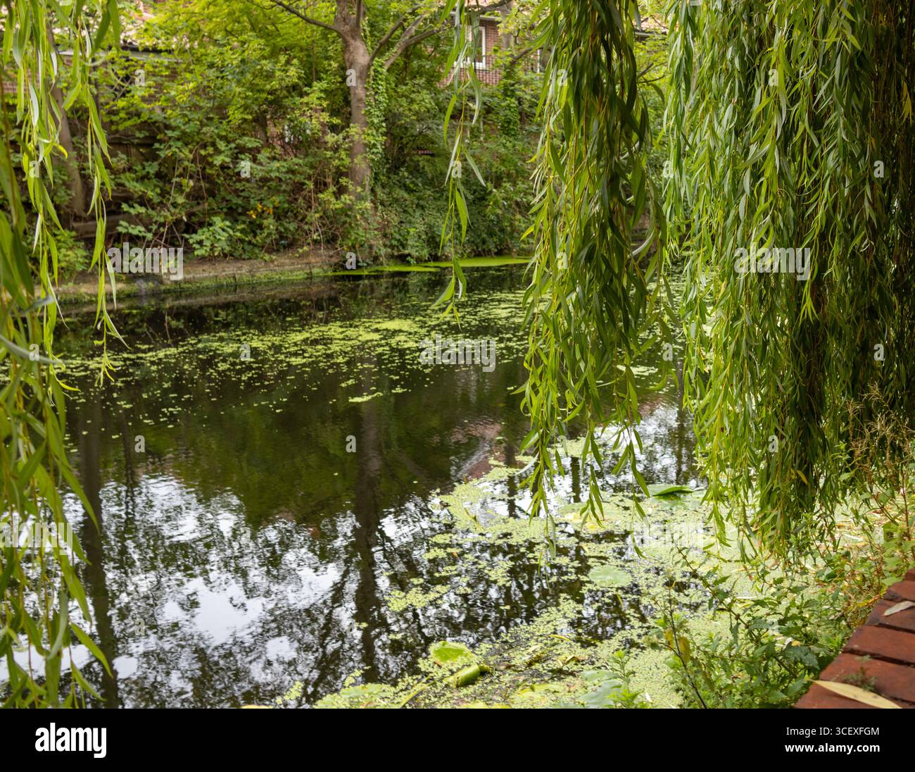 Natural peaceful scene hi-res stock photography and images - Alamy