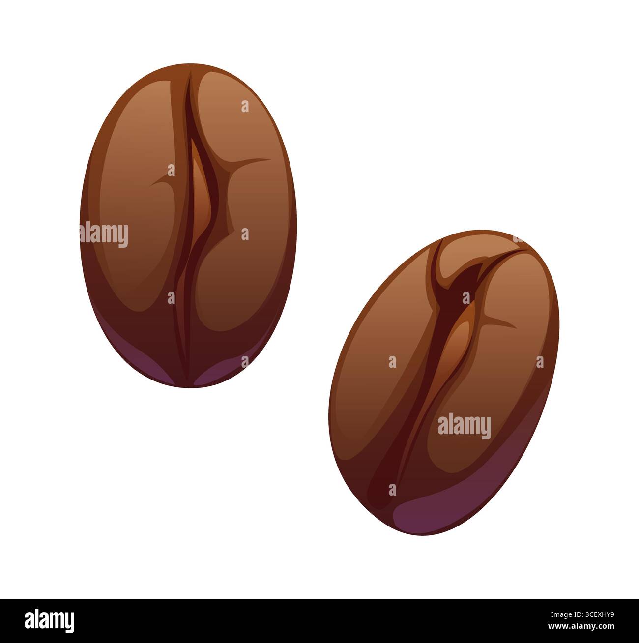 Central crease Stock Vector Images - Alamy