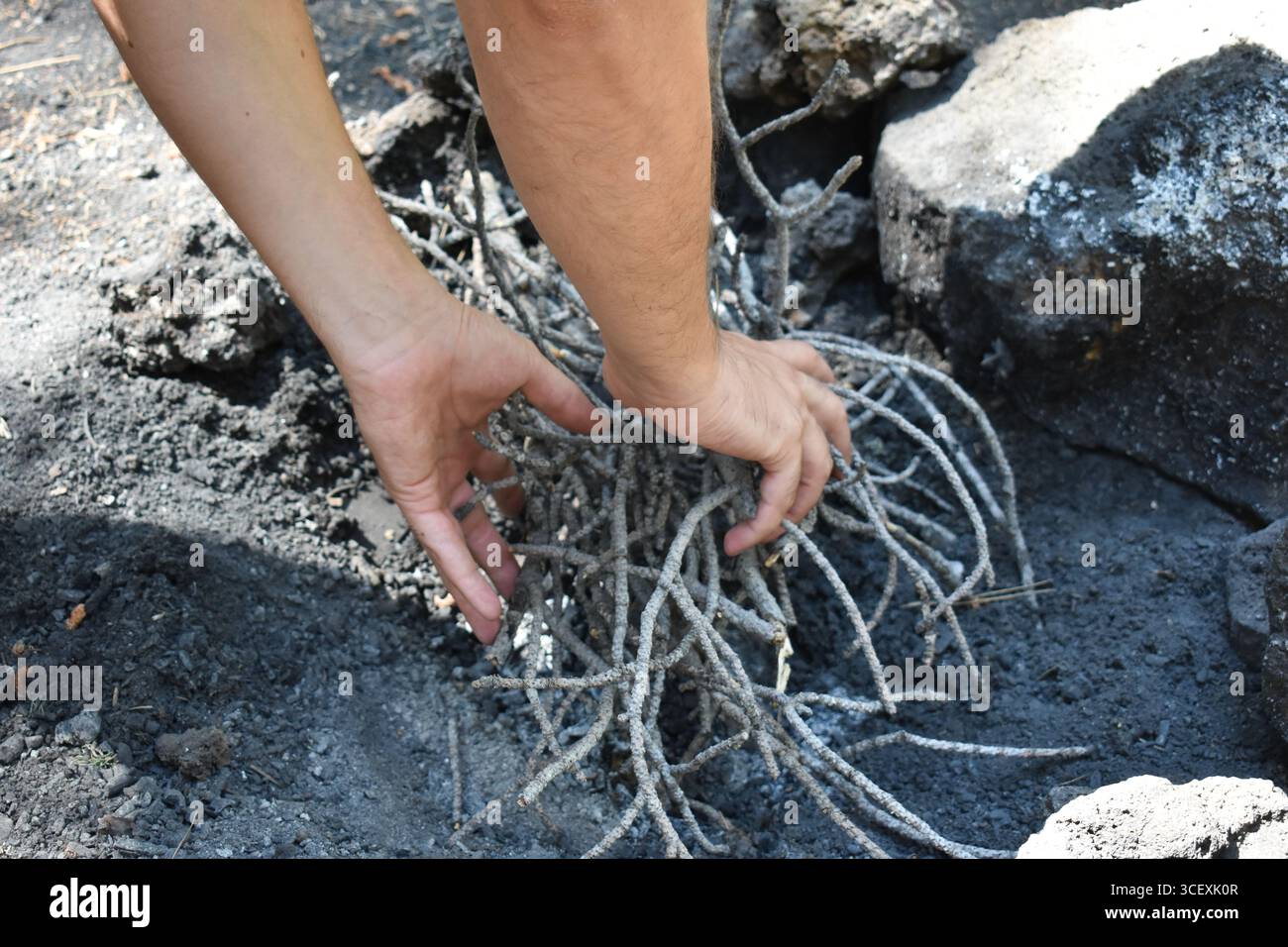 Mans hands making campfire hi-res stock photography and images - Alamy