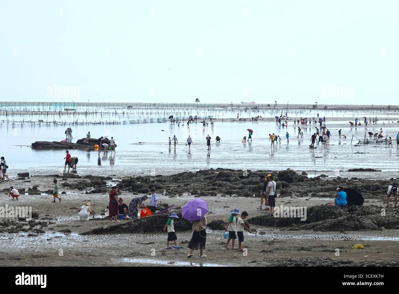 People go beachcombing in Fangchenggang City, south China's Guangxi ...