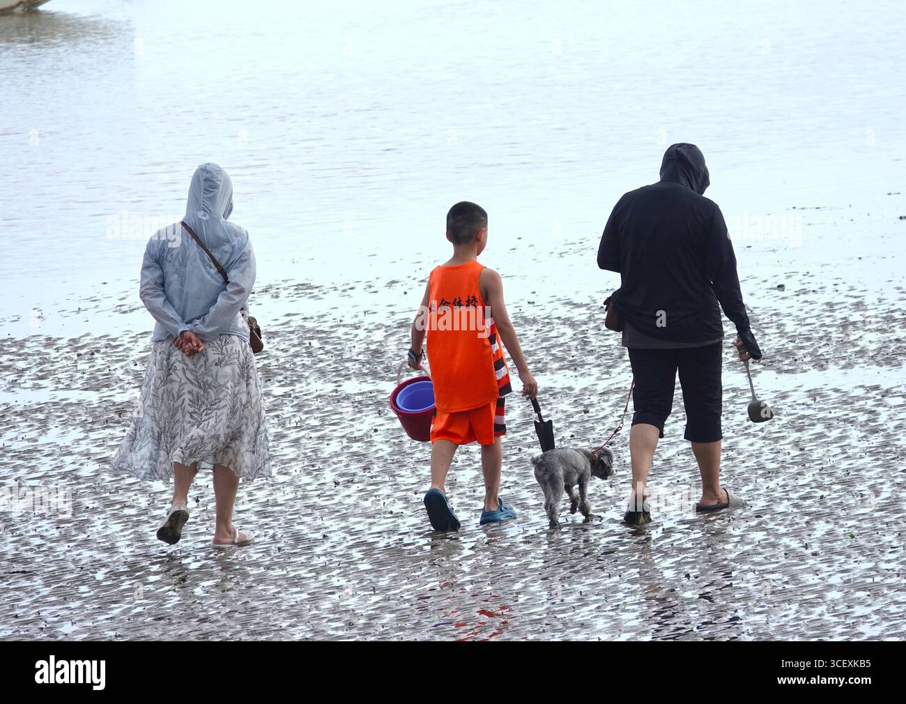 People go beachcombing in Fangchenggang City, south China's Guangxi ...