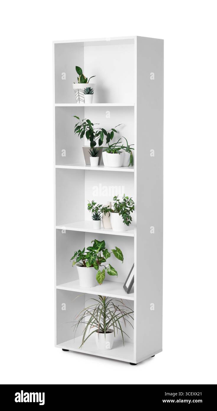 Green shelf decor Cut Out Stock Images & Pictures - Alamy