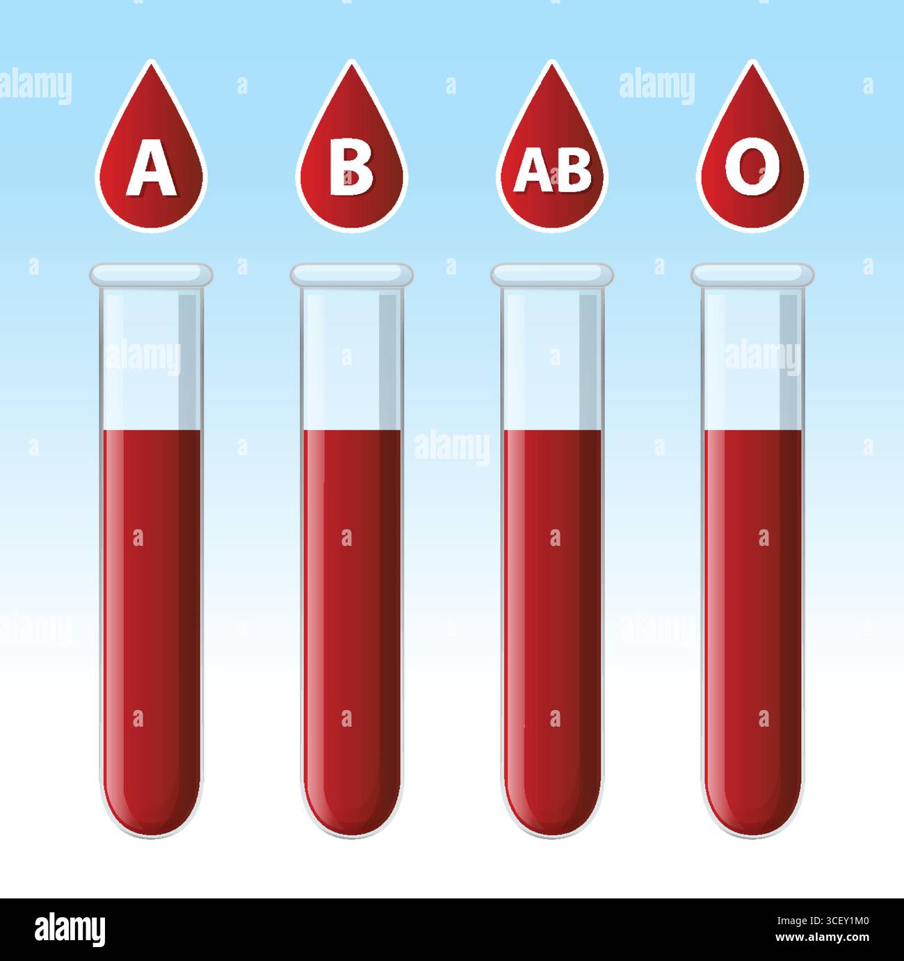 Four test tubes filled with blood, labeled A, B, AB, and O, in a clean ...